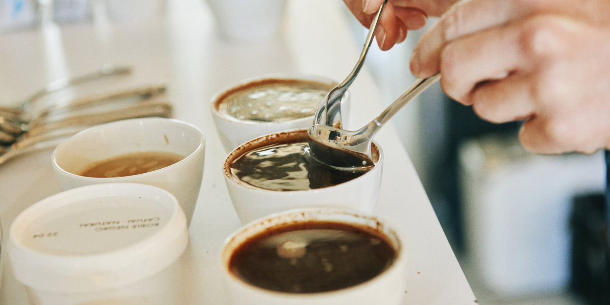 3 ways of explaining coffee – Prolog Coffee