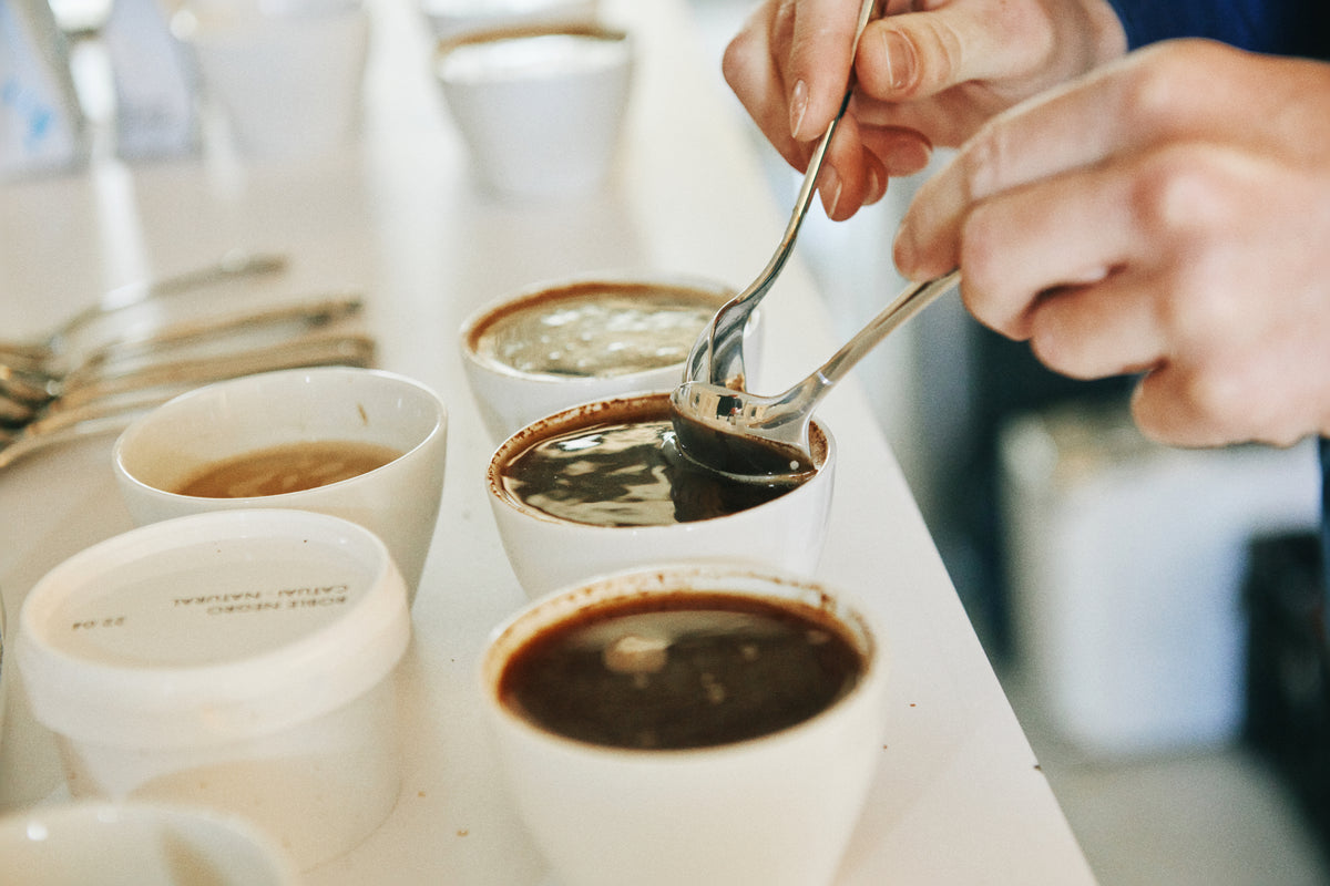 3 ways of explaining coffee – Prolog Coffee