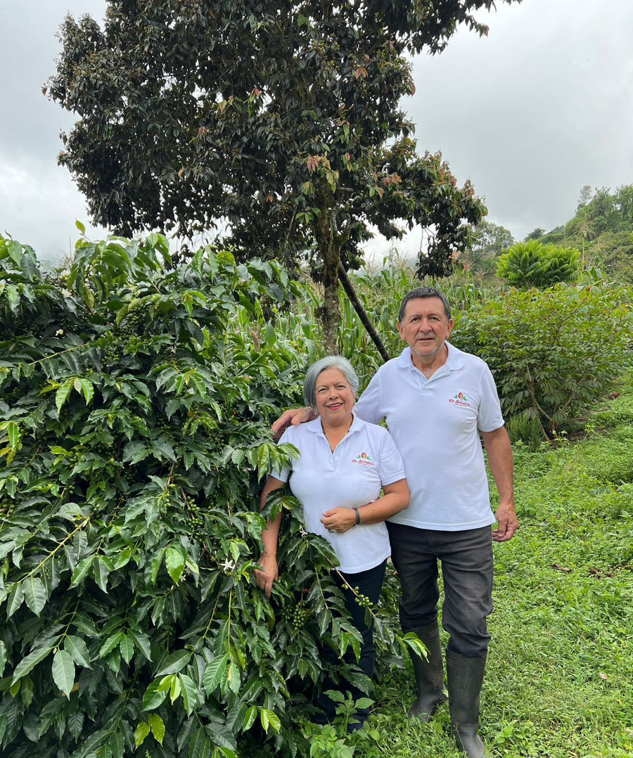 Prolog Coffee - To celebrate our love for coffee we celebrate you.