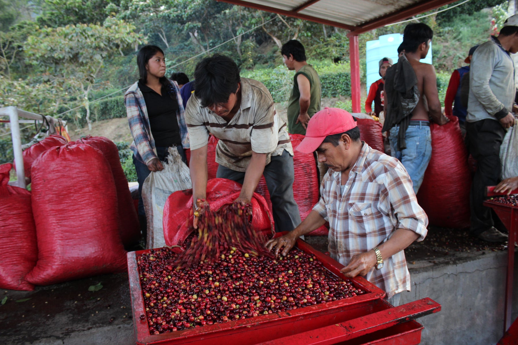 Prolog Coffee - To celebrate our love for coffee we celebrate you.