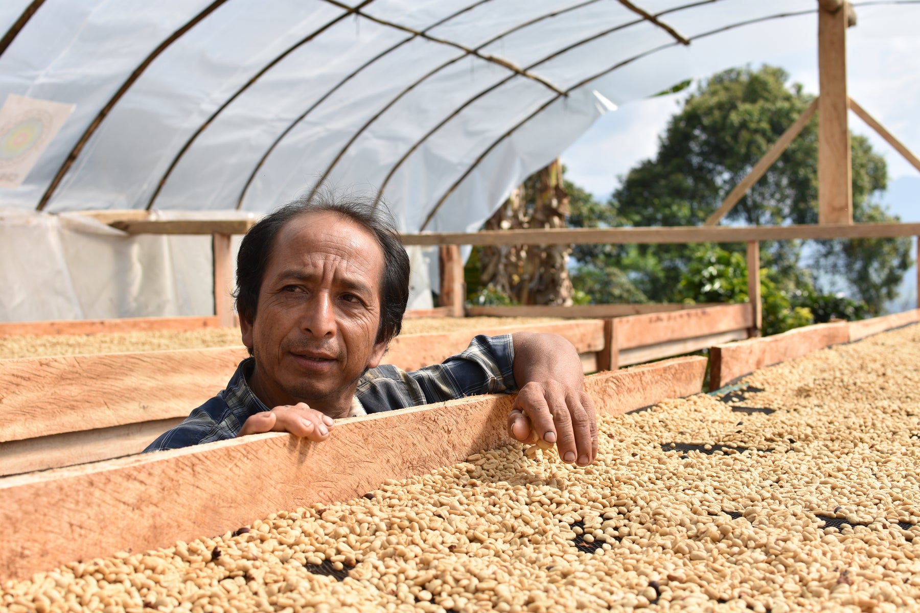 Prolog Coffee - To celebrate our love for coffee we celebrate you.