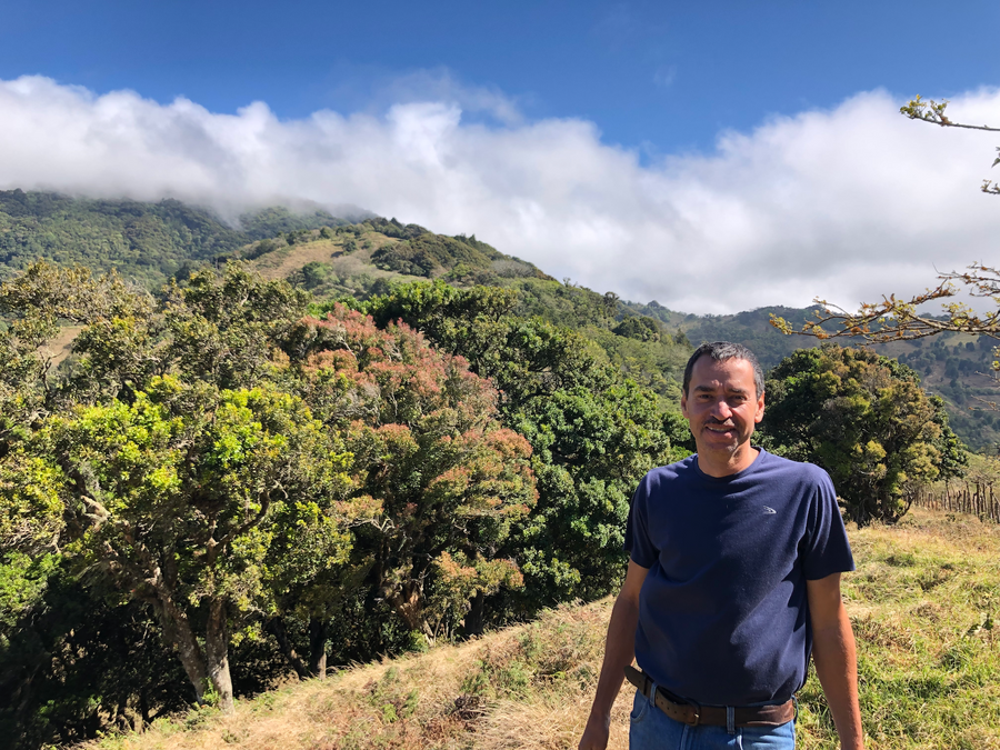 Coffee Beans – Prolog Coffee