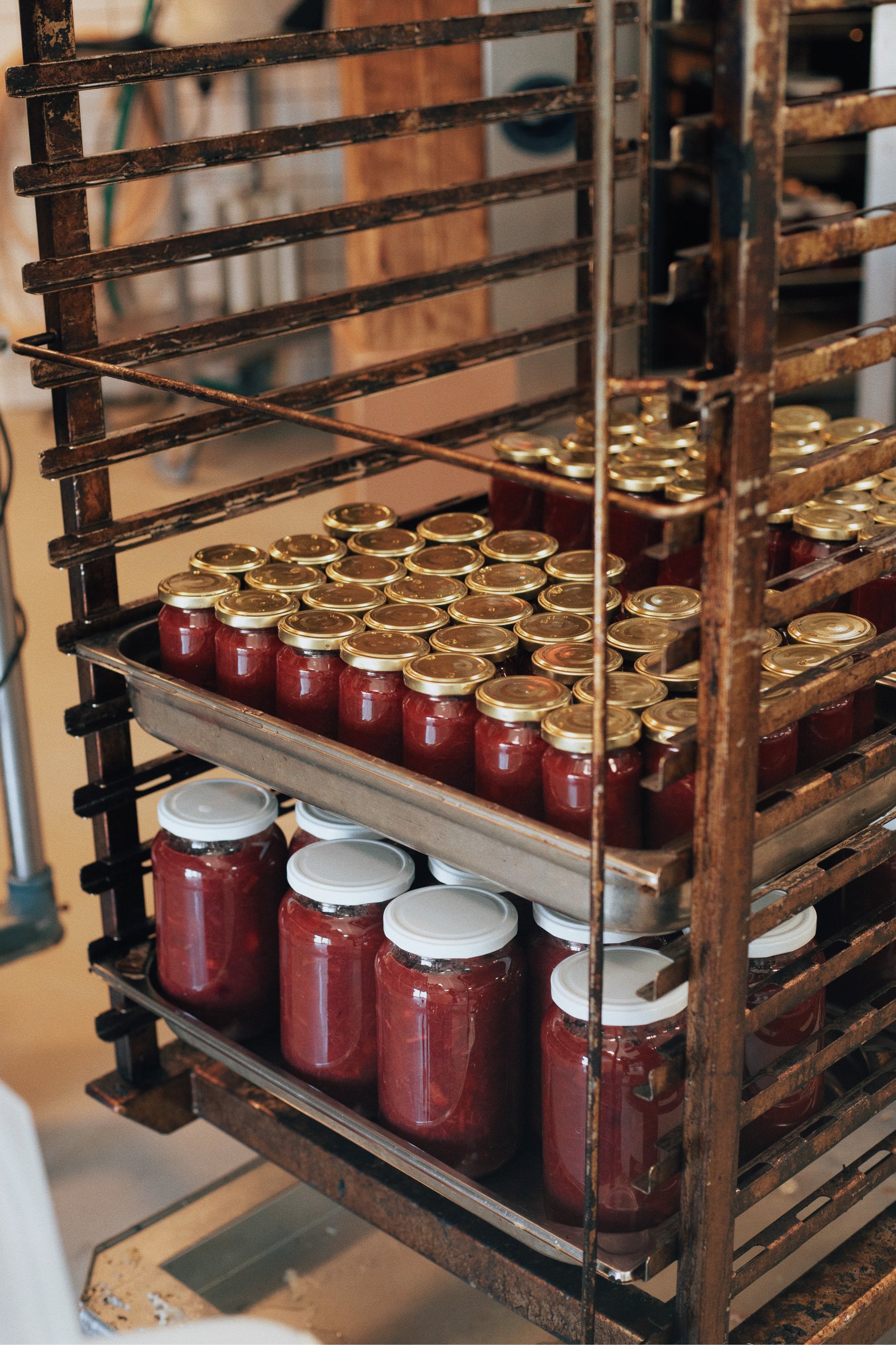 Merchandise – Prolog Coffee